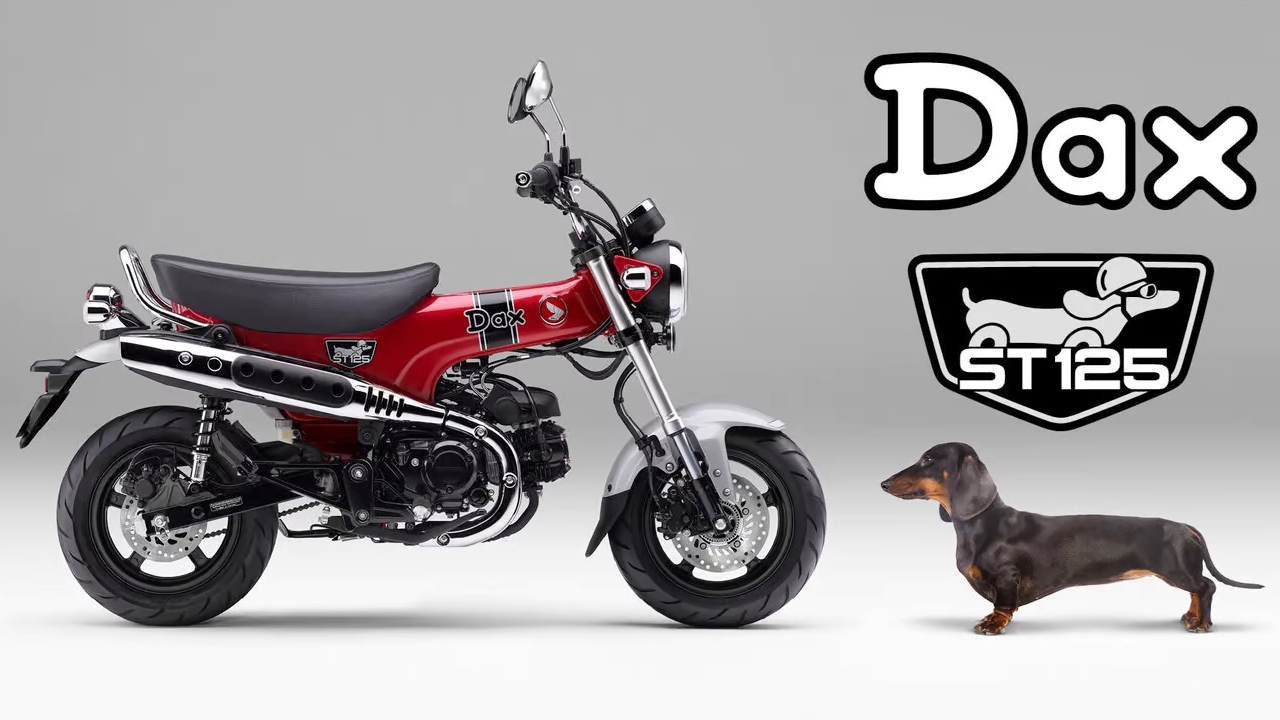 닥스훈트 닮은 개성 넘치는 바이크…혼다, ‘ST125’ 국내 공식 출시